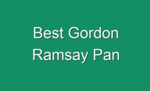 Best Gordon Ramsay Pan