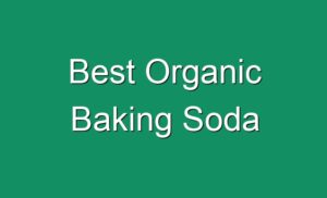 Best Organic Baking Soda