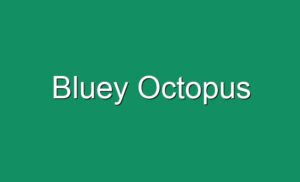 Bluey Octopus