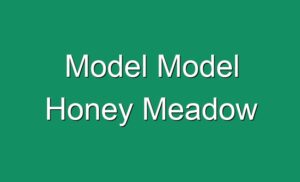 Model Model Honey Meadow